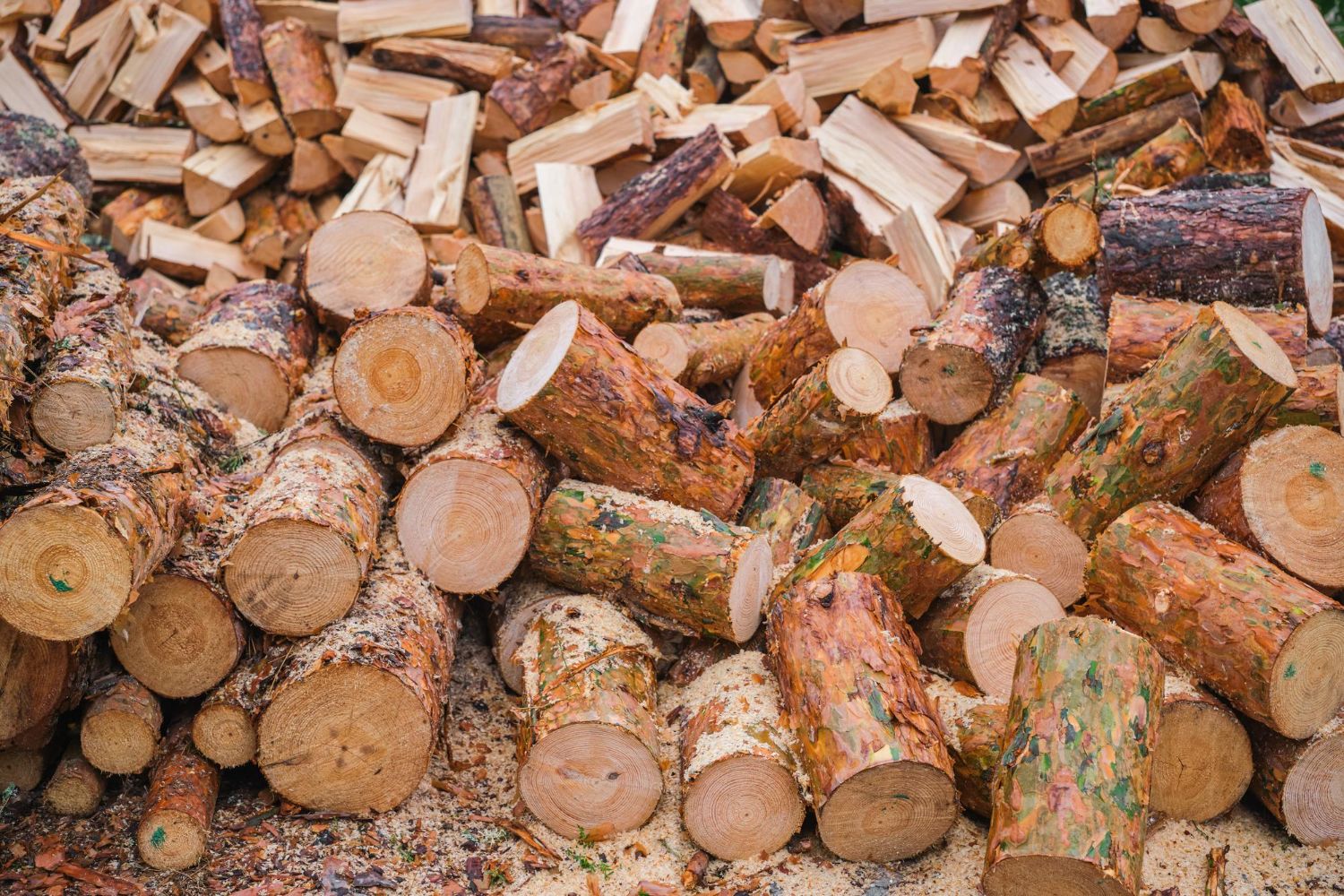 Understanding the Difference Between Hard and Soft Wood (With Chart)